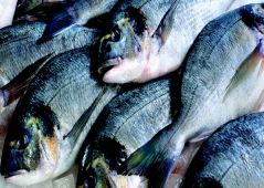 Protein: acid denaturation | Institute of Food Science and Technology