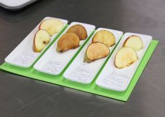 Food investigation: analyse results and present findings | IFST